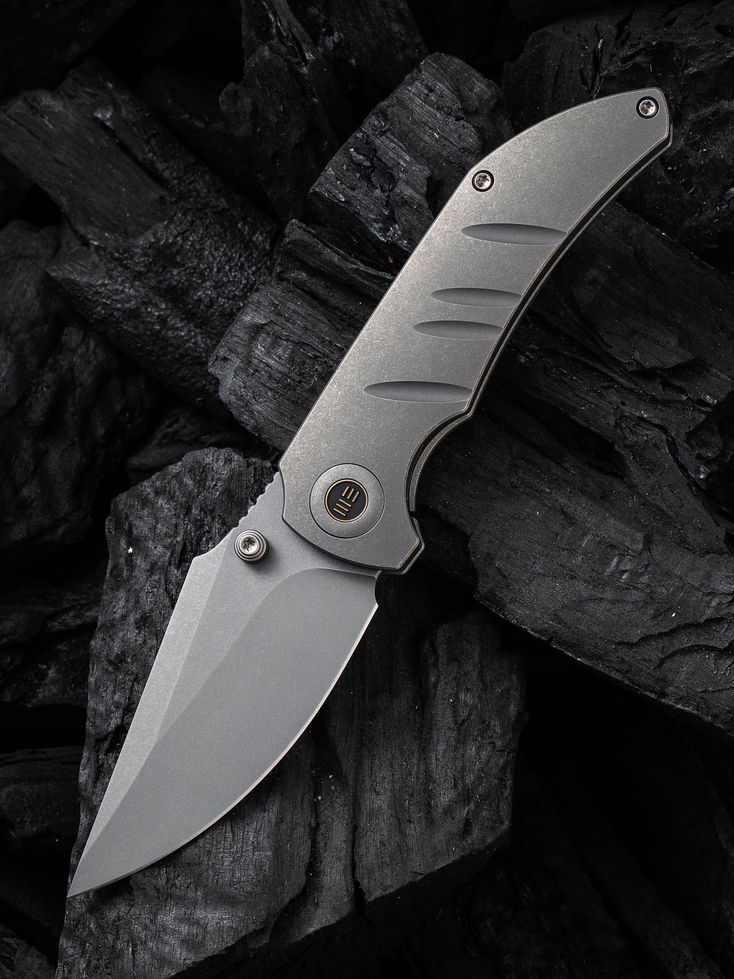 WE Riff-Raff 3.12" CPM 20CV Stonewashed Gray Titanium Folding Knife by ...